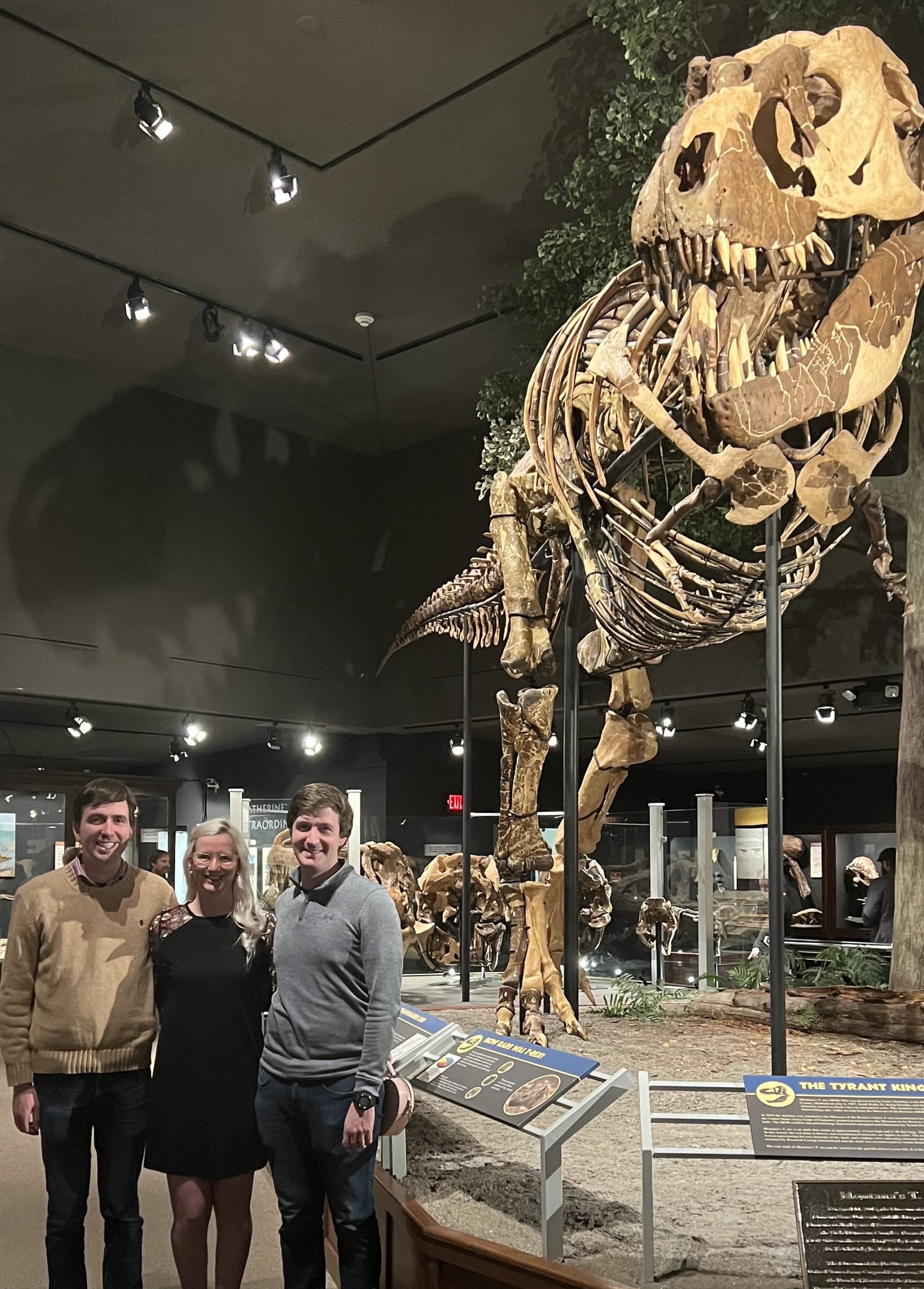 Oral Surgeon, Michael P. Capp, DDS | The Oral Surgery Center